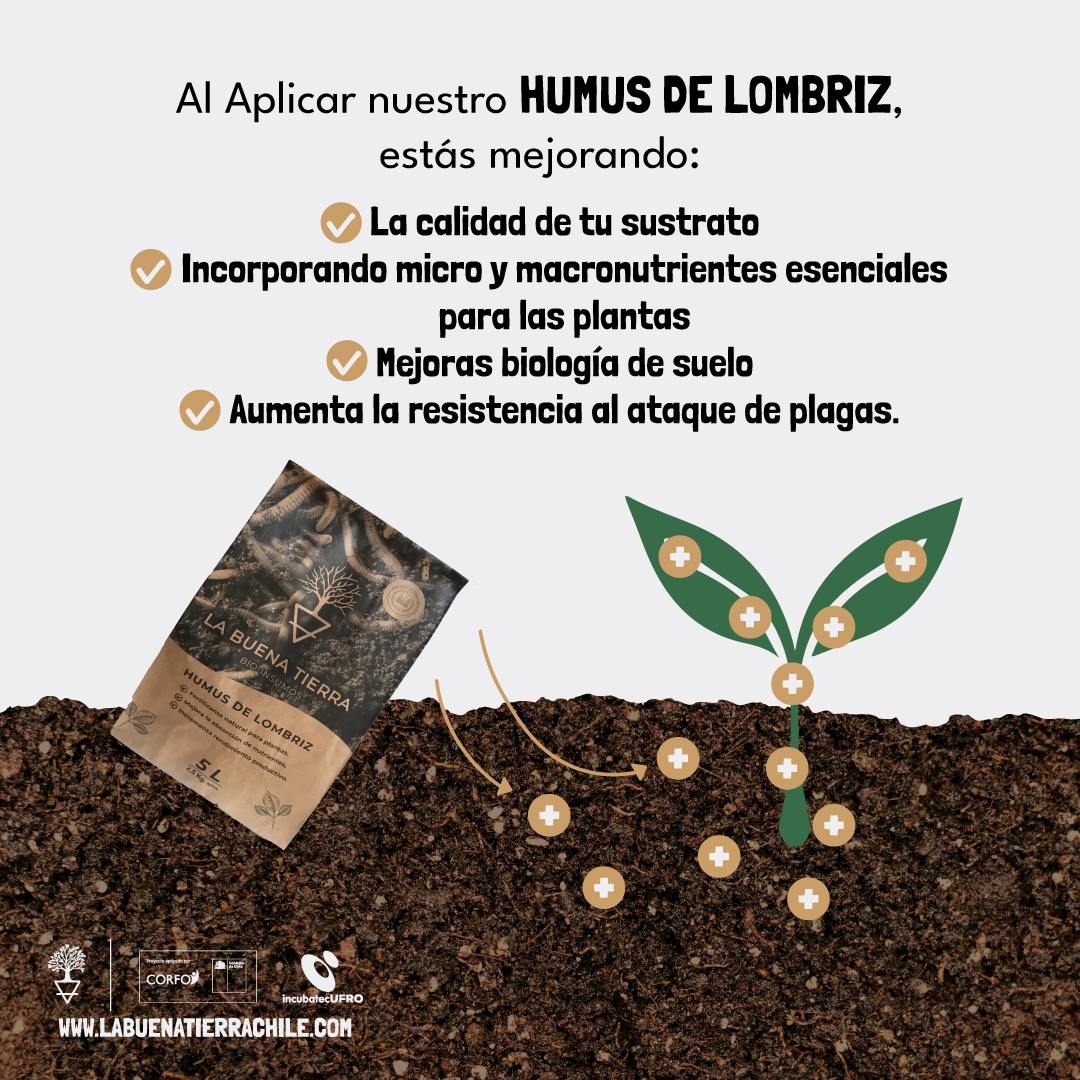 Humus de Lombriz 5L – La Buena Tierra Chile