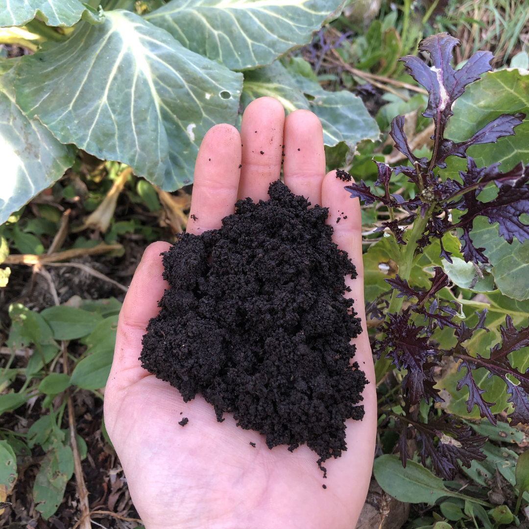 Humus de Lombriz 5L – La Buena Tierra Chile